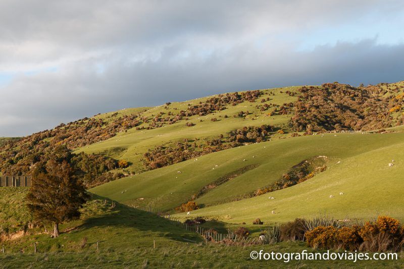 Southern scenic route Nueva Zelanda, la costa menos explorada del sur