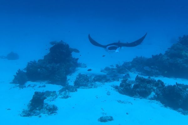 Consejos para viajar a Indonesia