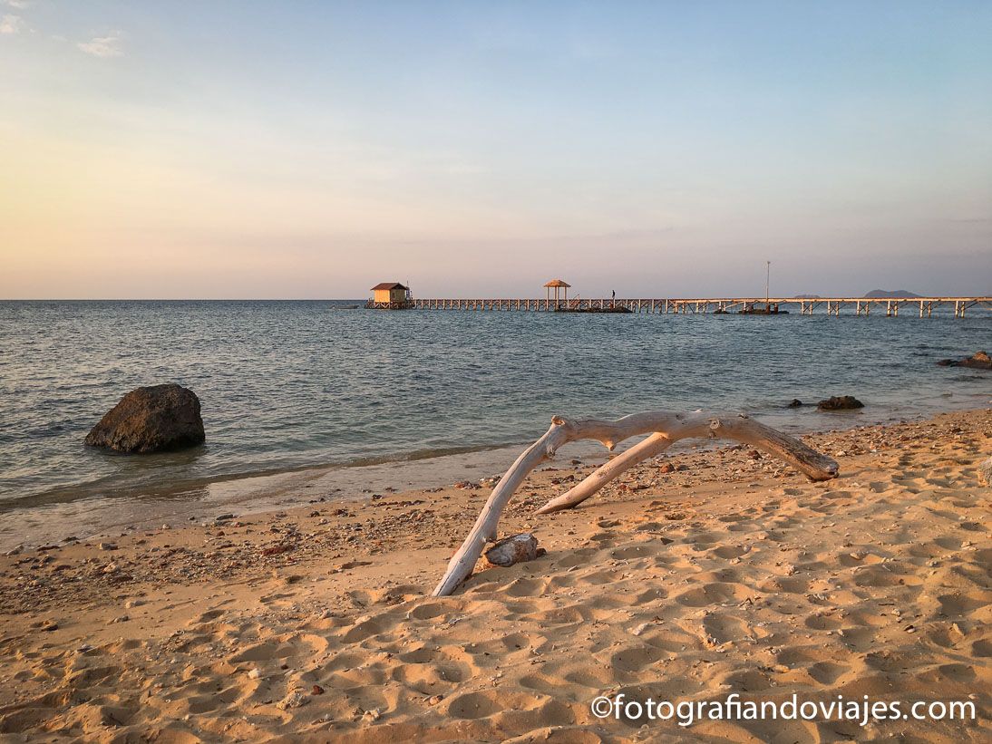 Buceo en Komodo en Flores, Indonesia