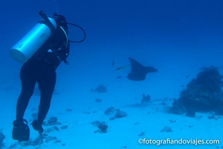 Que hacer en el parque nacional de Komodo: 3 días en barco