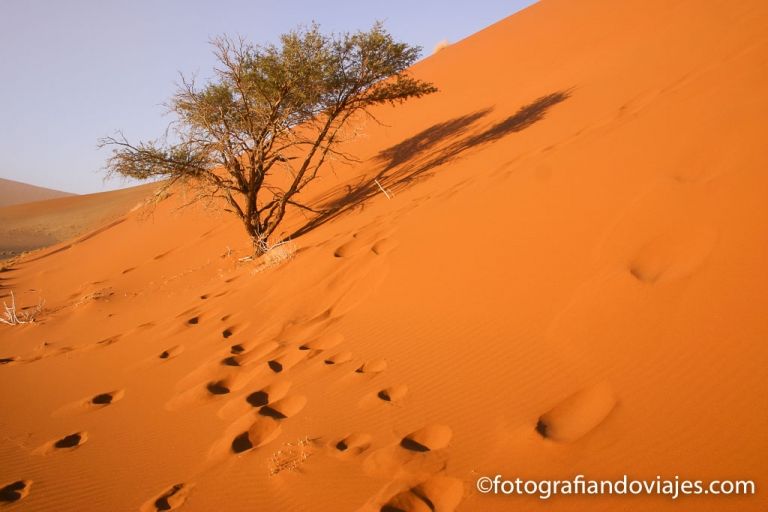 Duna 45 del desierto de Namib en imágenes
