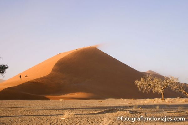 Duna 45 del desierto de Namib en imágenes