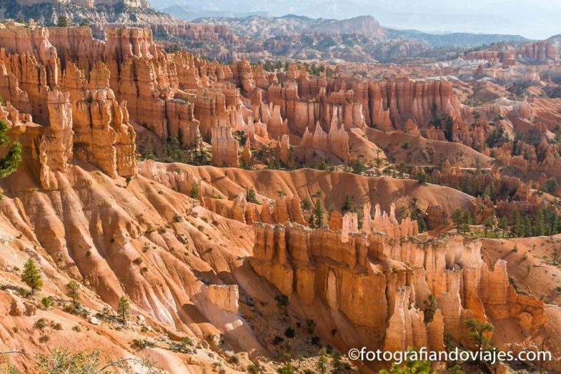 Parque Nacional Sequoia y Kings Canyon, que ver en un día