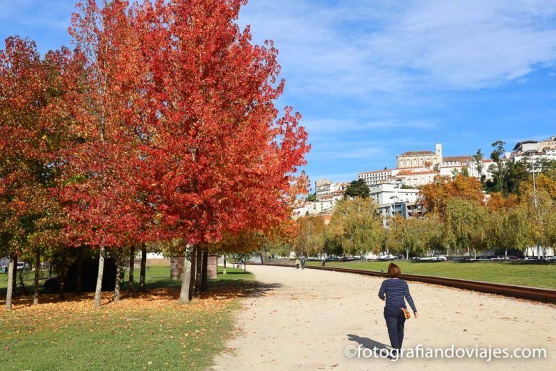 Lo mejor que ver en Coimbra: recorrido a pie por el centro