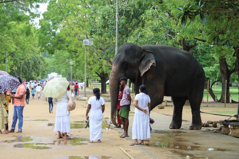 Kataragama, donde los fieles entran en trance